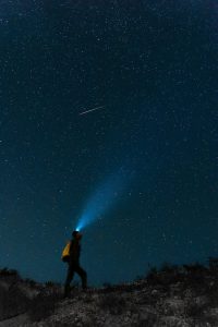 naturetrek - Cruise Travel Tips - naturetrek.org